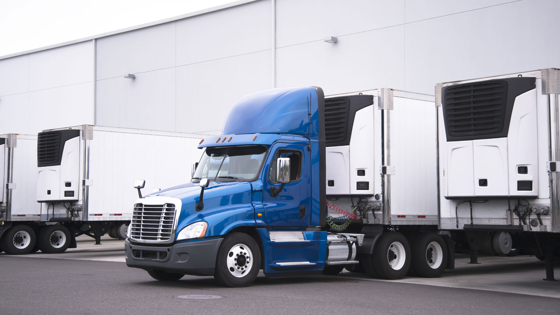 Welcome to Safex transport ! Home – Safex Transport